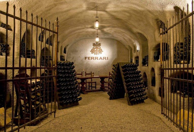 5 coisas para saber antes de visitar uma vinícola na Itália - Cenci Turismo